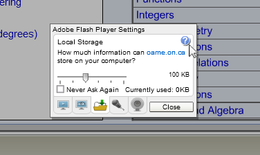 Flash Security Settings
